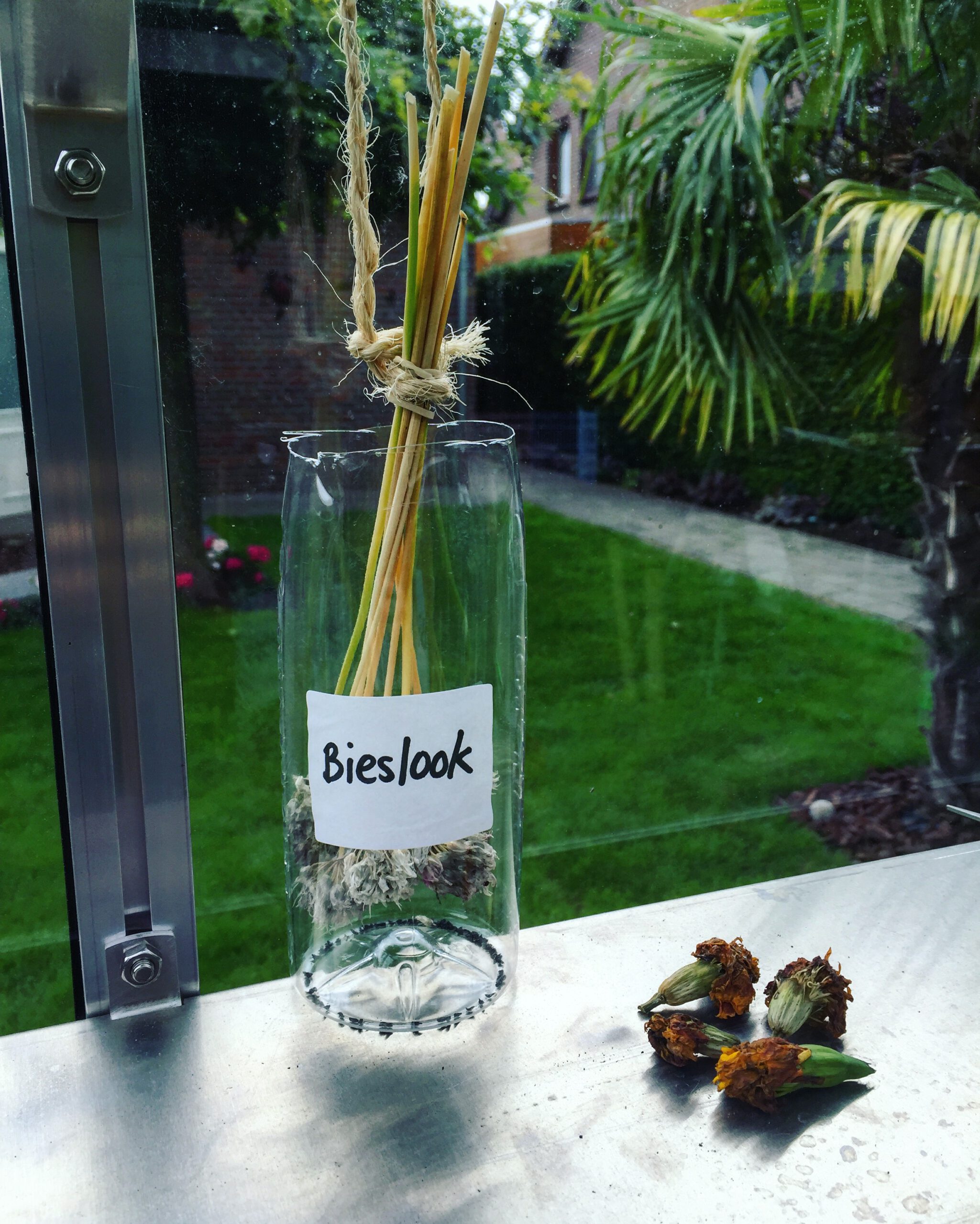 DIY: Zaadjes winnen uit bieslookbloemen - Mijn Moestuin, Mijn Passie